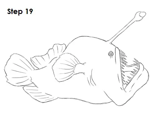 How to Draw an Anglerfish