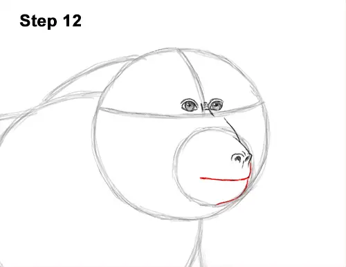 How to Draw a Baboon VIDEO & Step-by-Step Pictures