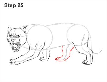 Simple Panther Head Drawing