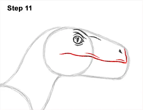 How to Draw Blue Velociraptor (Jurassic Wolrd) VIDEO & Step-by-Step ...