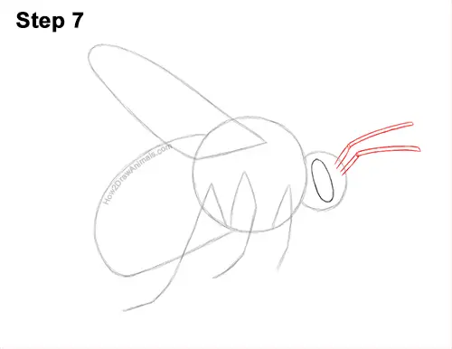 How to Draw a Bumblebee VIDEO & Step-by-Step Pictures