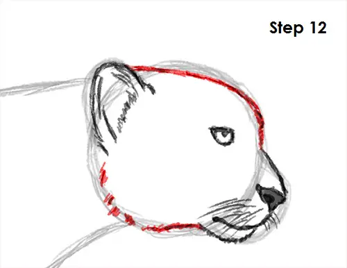 How to Draw a Cheetah VIDEO & Step-by-Step Pictures