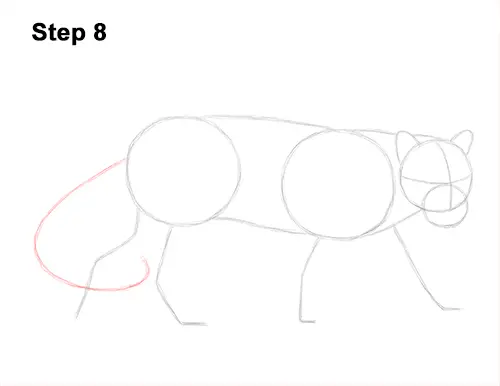How to Draw a Clouded Leopard