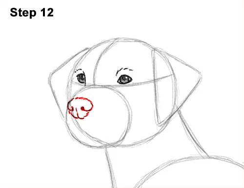 How to Draw a Dalmatian Dog VIDEO & Step-by-Step Pictures