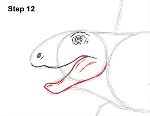 How to Draw a Dimetrodon VIDEO & Step-by-Step Pictures
