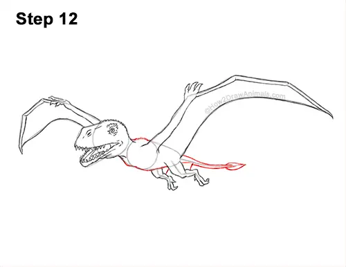 How to Draw a Dimorphodon VIDEO & Step-by-Step Pictures