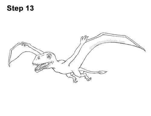 How to Draw a Dimorphodon VIDEO & Step-by-Step Pictures