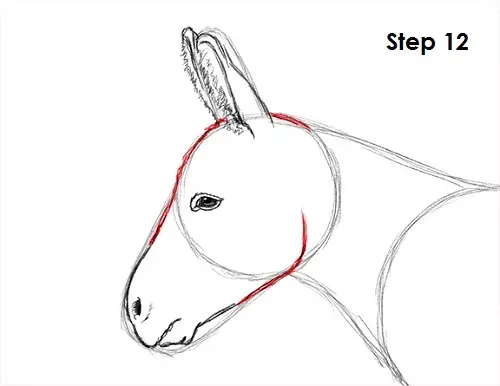 How to Draw a Donkey