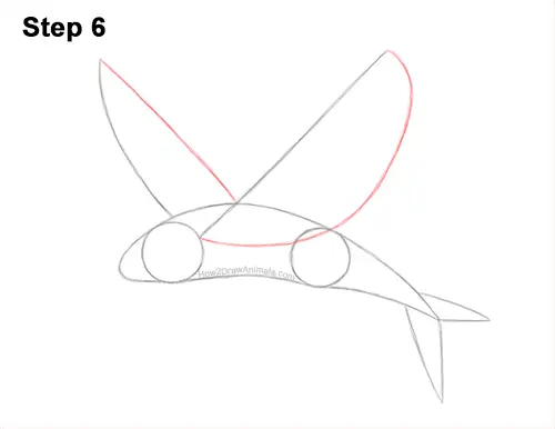 How to Draw a Flying Fish || VIDEO & Step-by-Step Pictures