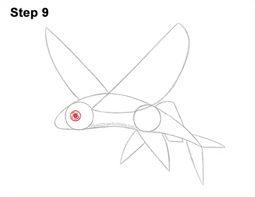 How to Draw a Flying Fish || VIDEO & Step-by-Step Pictures