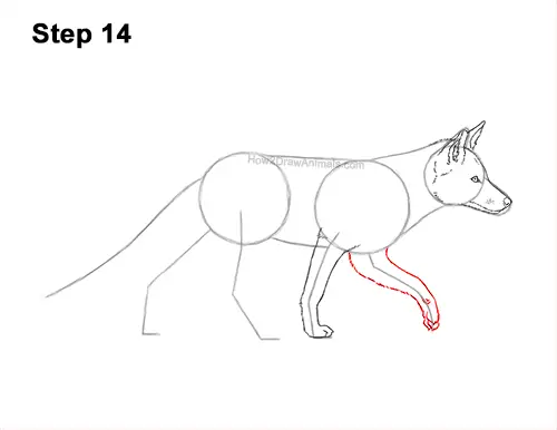 How to Draw a Fox (Color) VIDEO & Step-by-Step Pictures