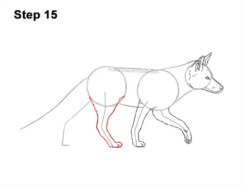 How to Draw a Fox (Color) VIDEO & Step-by-Step Pictures