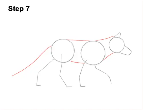 How to Draw a Fox (Color) VIDEO & Step-by-Step Pictures