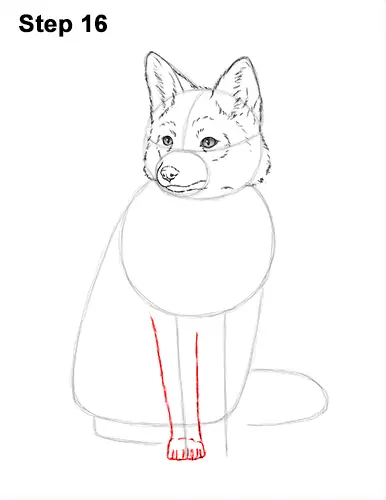 How to Draw a Fox (Sitting)