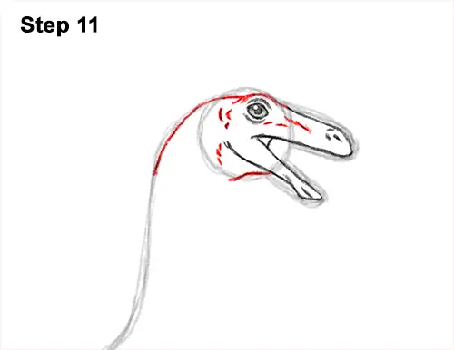 How to Draw Gallimimus (Jurassic Park) VIDEO & Step-by-Step Pictures