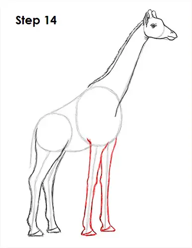 How to Draw a Giraffe VIDEO & Step-by-Step Pictures