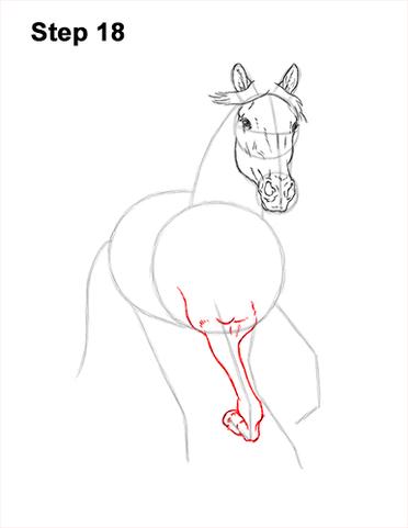 How To Draw A Horse Standing