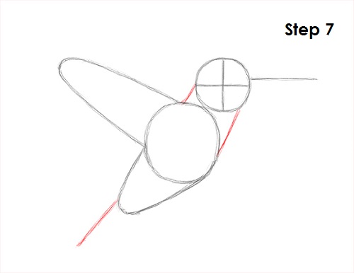 How to Draw a Hummingbird VIDEO & Step-by-Step Pictures