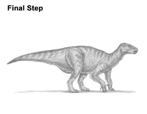 How to Draw an Iguanodon || VIDEO & Step-by-Step Pictures