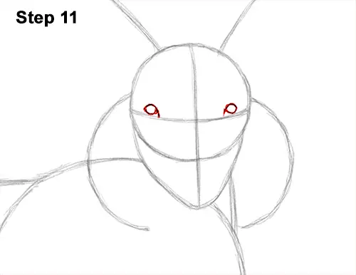 How to Draw a Jacob Sheep