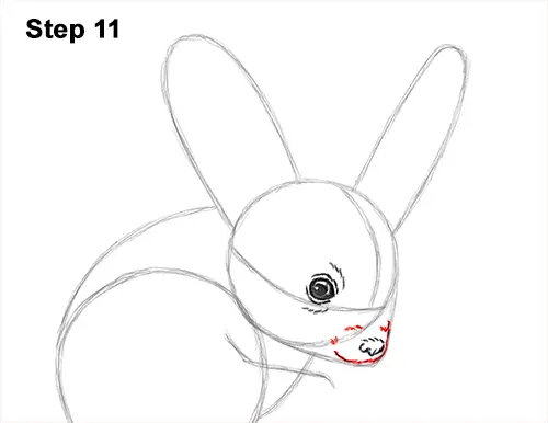How to Draw a Jerboa (Long-Eared)