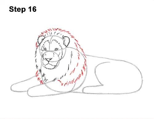 How to Draw a Lion (Color) VIDEO & Step-by-Step Pictures