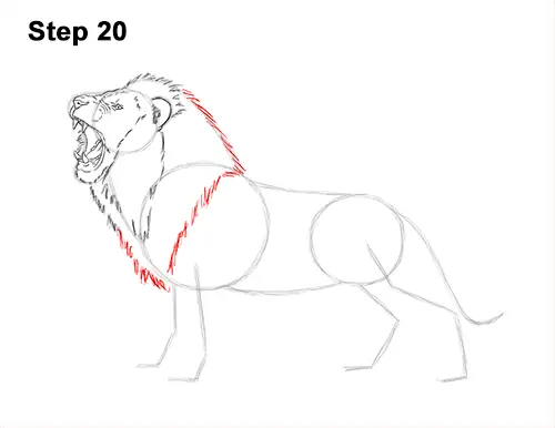 How to Draw a Lion Roaring (Color) VIDEO & Step-by-Step Pictures