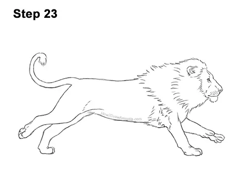 How to Draw a Lion Running (Color) VIDEO & Step-by-Step Pictures