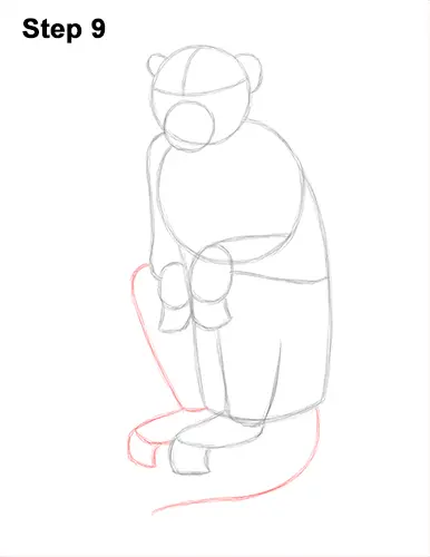 How to Draw a Monkey (Rhesus Macaque) VIDEO & Step-by-Step Pictures