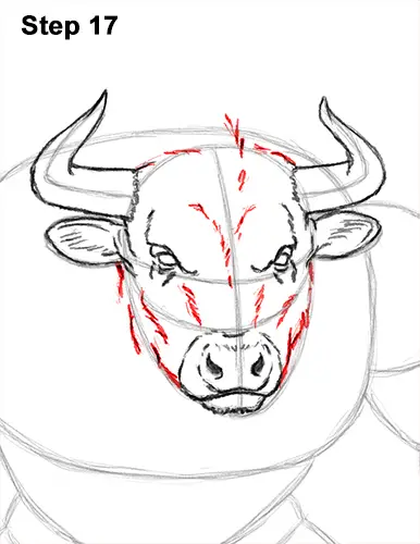 How to Draw a Minotaur