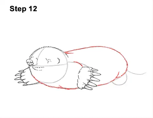 Mole Drawing
