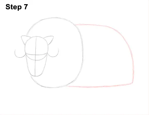 How to Draw a Musk Ox