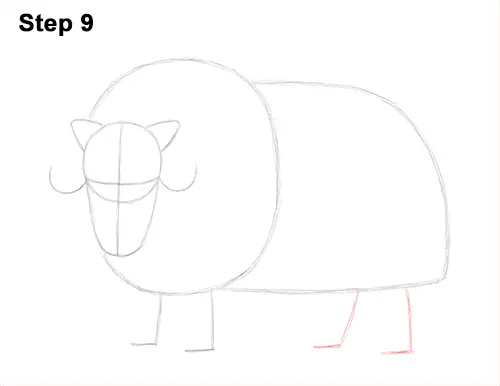 How to Draw a Musk Ox