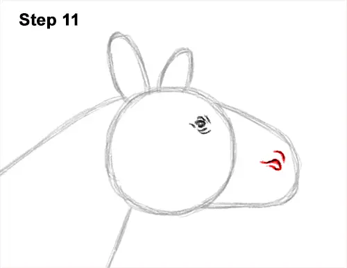 How to Draw a Paraceratherium VIDEO & Step-by-Step Pictures