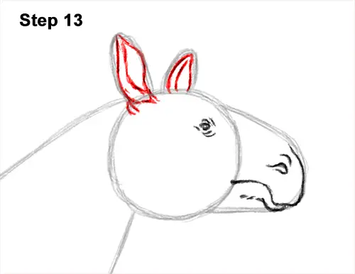 How to Draw a Paraceratherium VIDEO & Step-by-Step Pictures