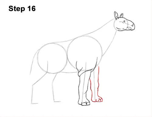 How to Draw a Paraceratherium VIDEO & Step-by-Step Pictures