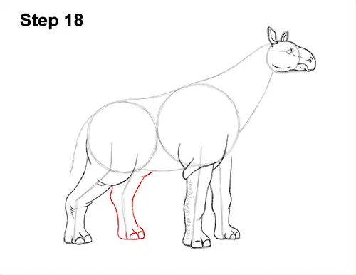 How to Draw a Paraceratherium VIDEO & Step-by-Step Pictures