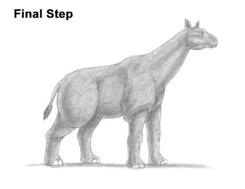 How to Draw a Paraceratherium VIDEO & Step-by-Step Pictures