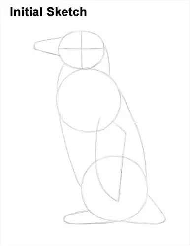 How to Draw a Penguin (Magellanic)