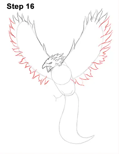How to Draw a Phoenix