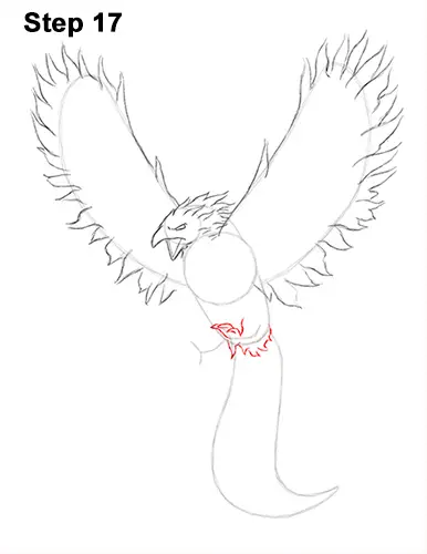 How to Draw a Phoenix