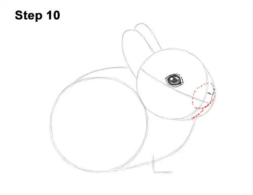 How to Draw a Rabbit (Baby) VIDEO & Step-by-Step Pictures