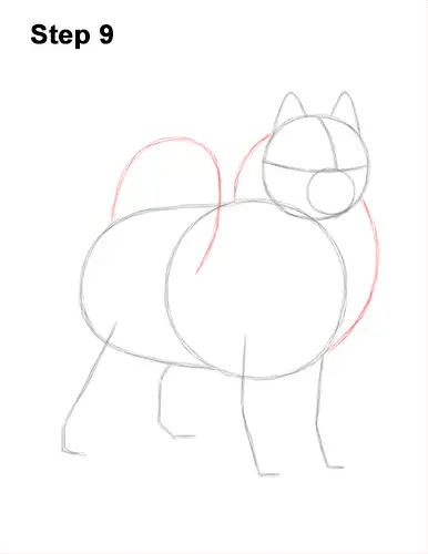 How to Draw a Dog (Samoyed) VIDEO & Step-by-Step Pictures