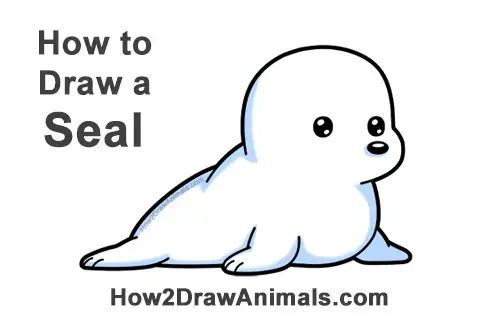How To Draw A Cute Seal