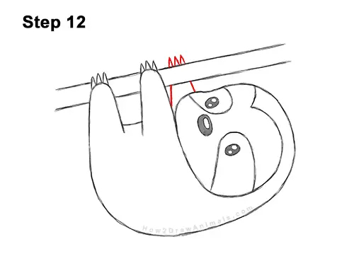 How to Draw a Sloth (Cartoon) VIDEO & Step-by-Step Pictures