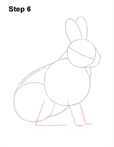 How to Draw a Snowshoe Hare VIDEO & Step-by-Step Pictures