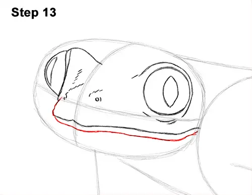 How to Draw a Frog (Red-Eyed Tree Frog)
