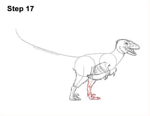 How to Draw a Velociraptor with Feathers VIDEO & Step-by-Step Pictures