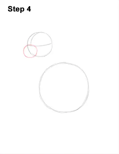 How to Draw a Wallaby VIDEO & Step-by-Step Pictures