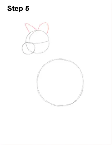 How to Draw a Wallaby VIDEO & Step-by-Step Pictures